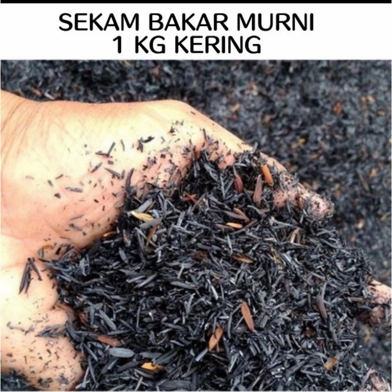Jual Arang Sekam Padi Bakar Kulit Padi Murni 1kg | Shopee Indonesia