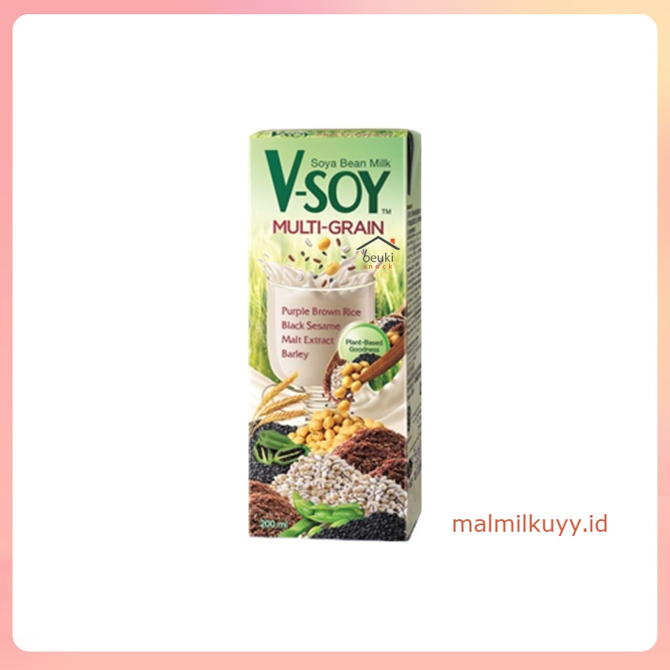 Jual VSoy Soya Bean Multi Grain Minuman Sehat Kacang Kedelai | Shopee ...