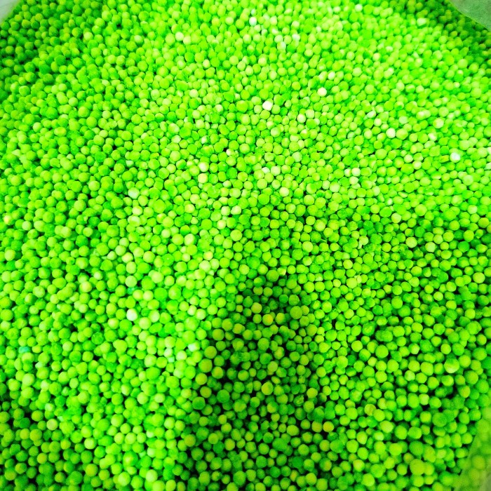 Jual Green Sago Seeds Thailand Sagu Mutiara Hijau Pacar Cina mata ikan ...