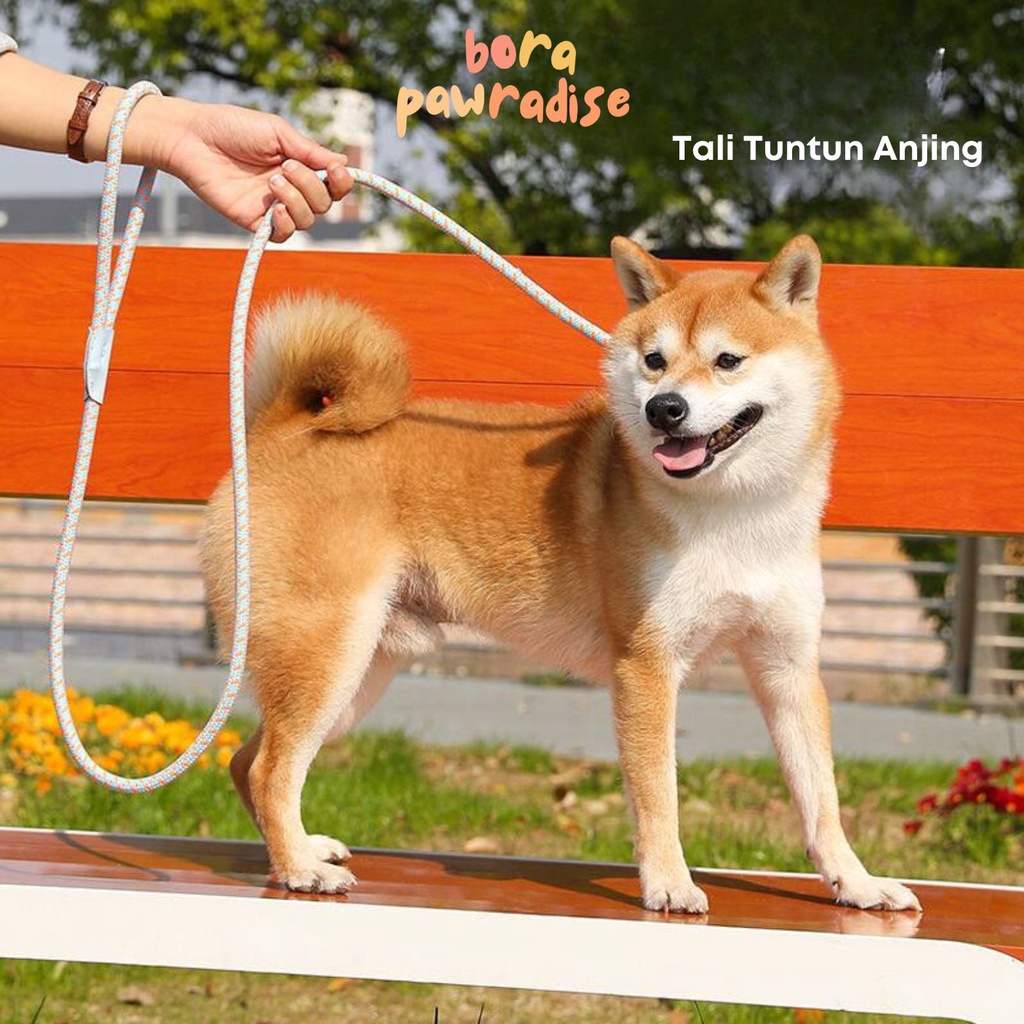 Jual Leash Anjing Kecil / Tali Tuntun Anjing / Tali Anjing Kecil Kuat ...