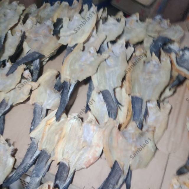 Jual Ikan gabus kering haruan super kalimantan 500 gram | Shopee Indonesia