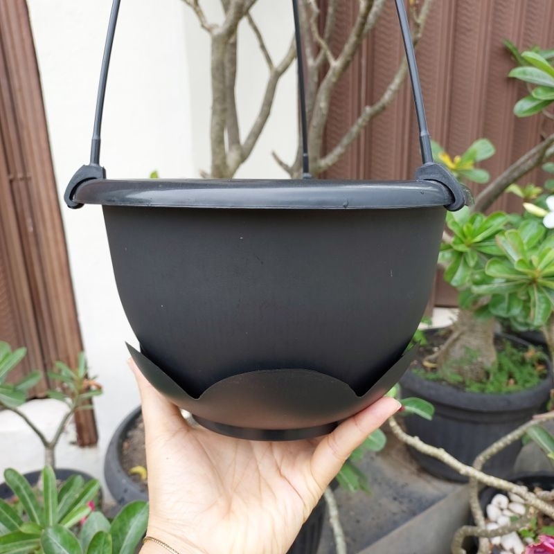 Jual POT GANTUNG SA HITAM : GT-20 pot bunga gantung diameter 21cm ...