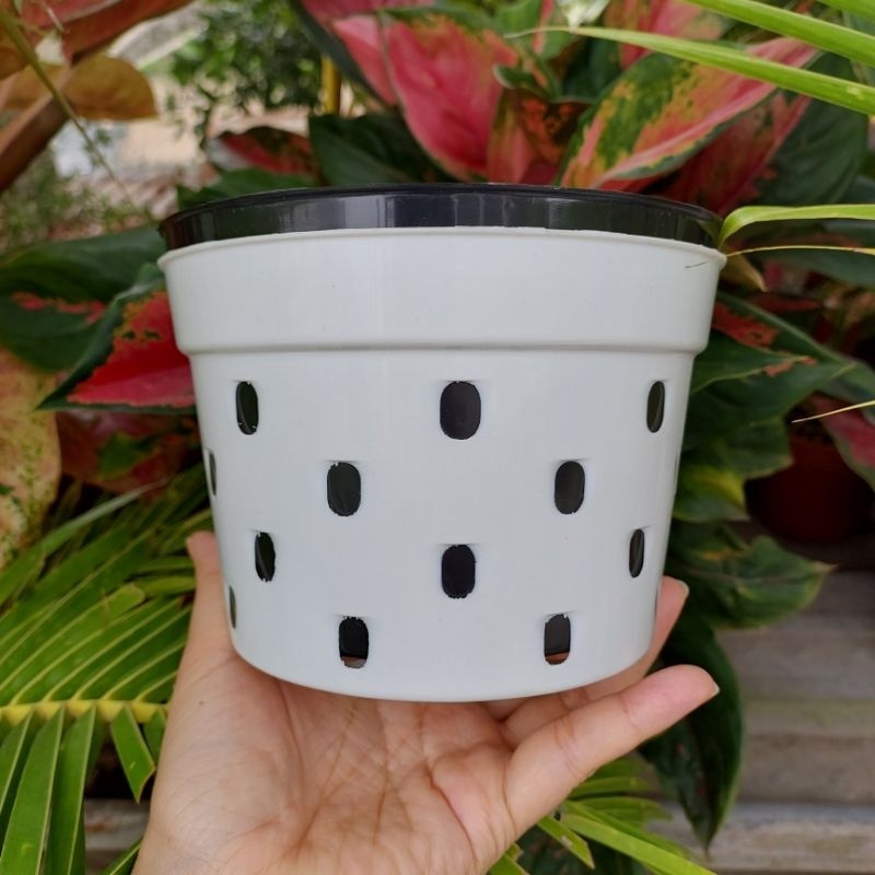 Jual POT DENDRO PD15 : pot bunga poros banyak lubang bawah samping ...