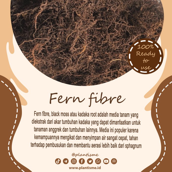 Jual Media Tanam | Fern Fibre Black Moss (Kadaka Root) | Metan Mix ...