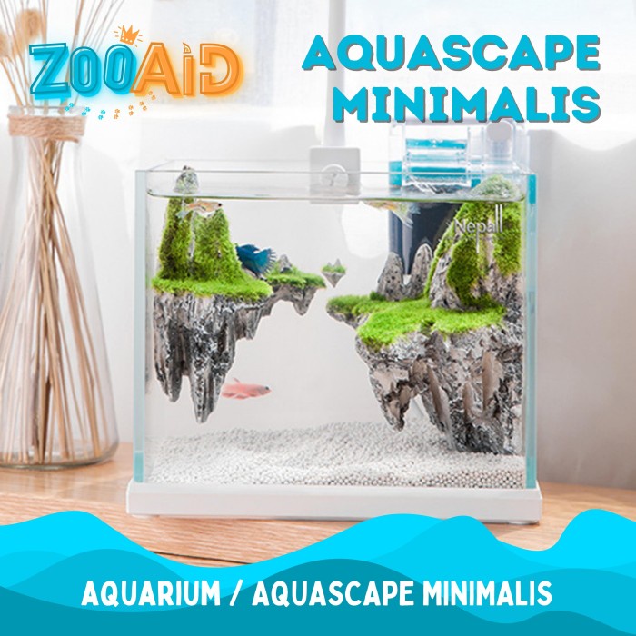 Jual MINI AQUARIUM CUPANG/ AQUARIUM MINI / AQUARIUM AQUASCAPE MINIMALIS ...