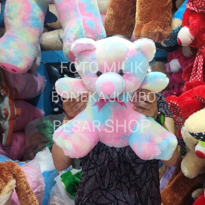 Jual BONEKA HEWAN TEDDY TEDY TEDI BEAR BERUANG DUDUK PINK BIRU KUNING ...