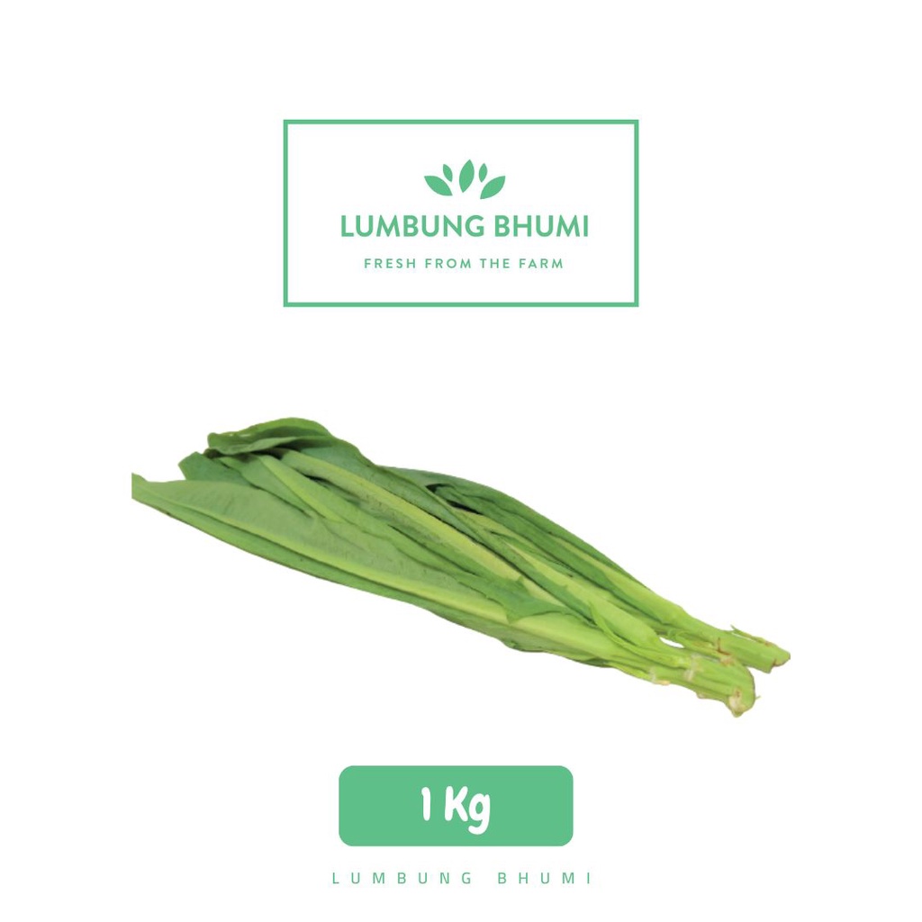 Jual Fumak Sayur 1 Kg - Lumbung Bhumi | Shopee Indonesia