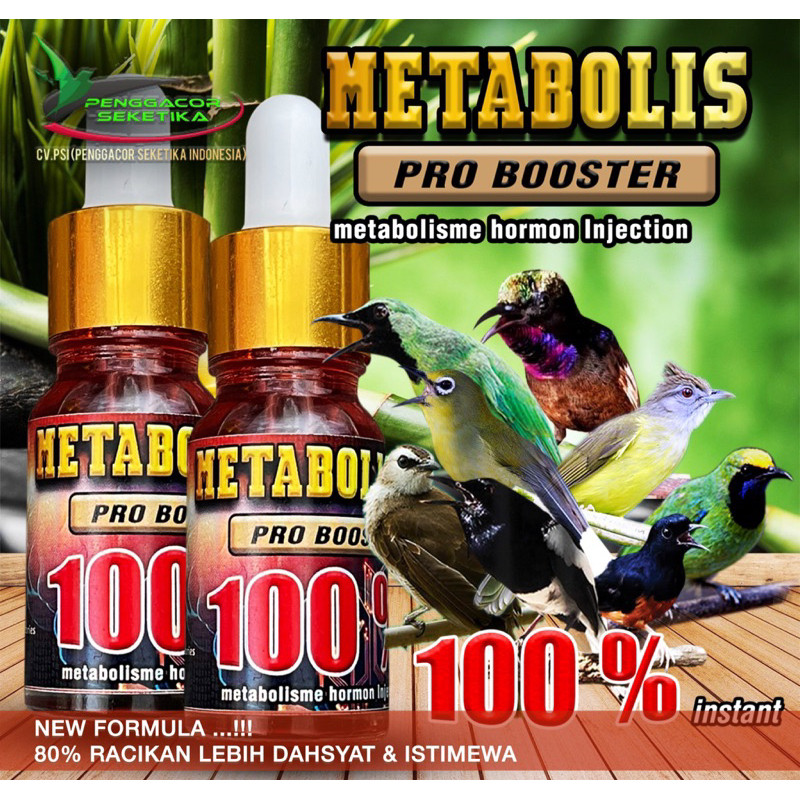 Jual metabolis pro booster big size botol kaca besar 10 ml Multivitamin ...