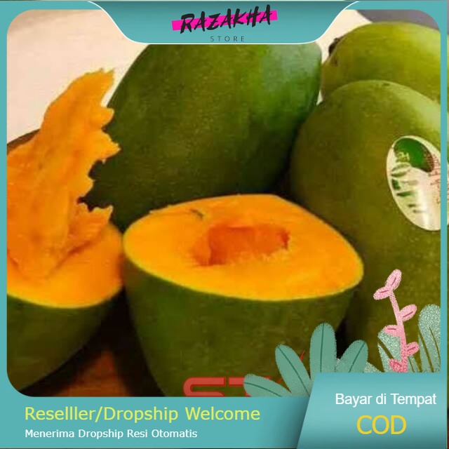 Jual 5kg - Mangga Klonal 21 / Mangga Alpukat Grade A Masak Pohon asli ...