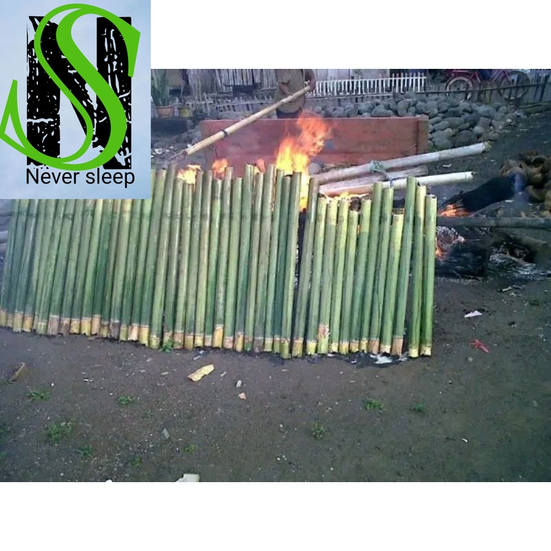 Jual Bambu Lemang Nasi Jaha( Paket 10 ruas bambu) | Shopee Indonesia