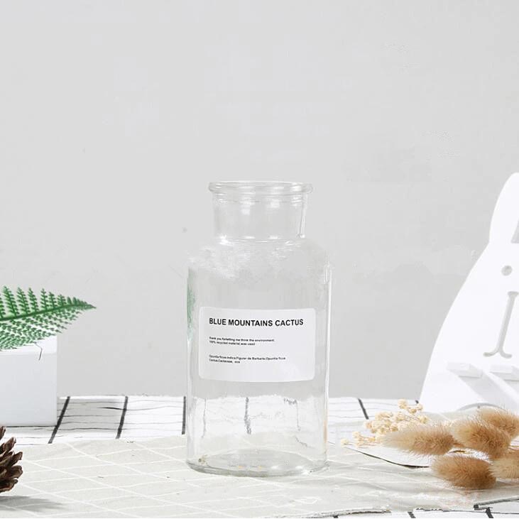 Jual Vas Bunga Botol Kaca Aesthetic Bottle Vases Flower Pot 500 ml ...