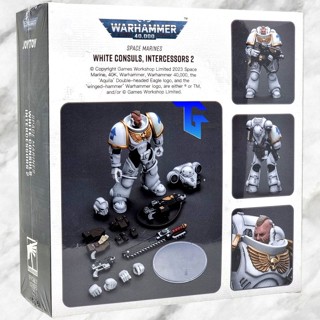 Jual JOYTOY 1/18 Warhammer 40K Space Marines White Consuls - Captain ...
