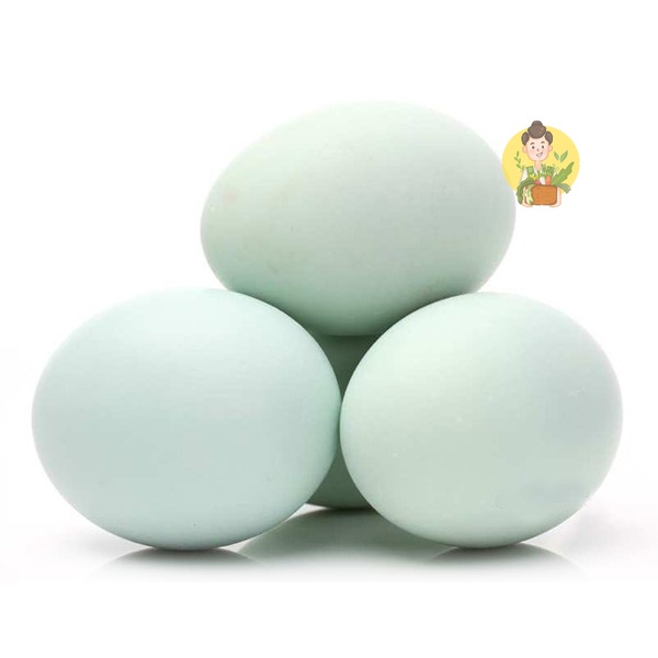 Jual Telor Asin / Telur Asin 1 Butir - Sayur Segar Instan Malang ...