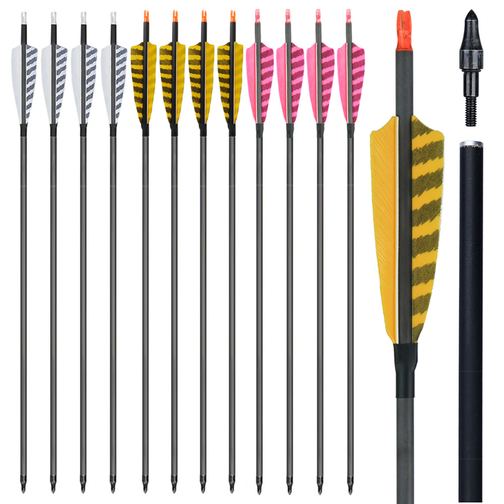 Jual 12pcs 32'' Achery Carbon Arrows with 4'' True Feather Spine 400 ...