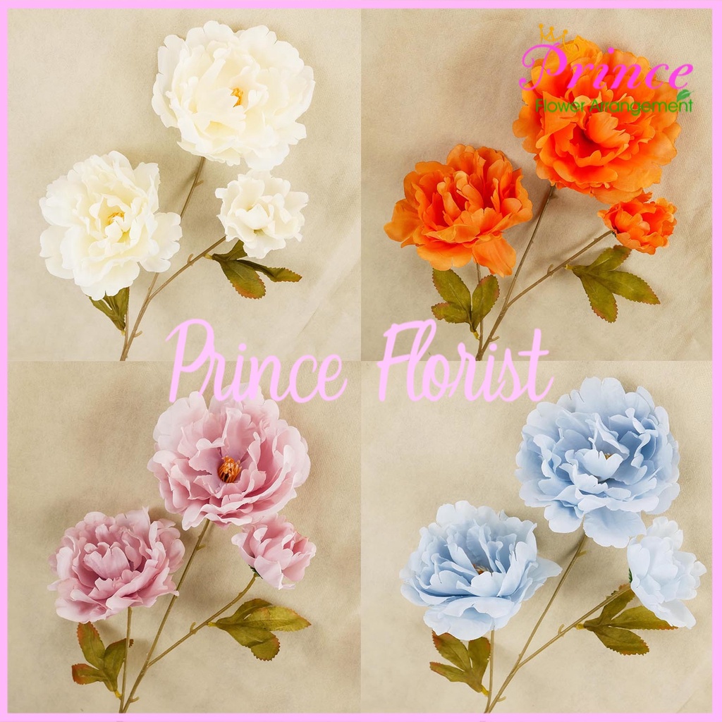 Jual Bunga Mutan Tangkai Panjang Cabang 3 Peony Jumbo Flowers Besar ...