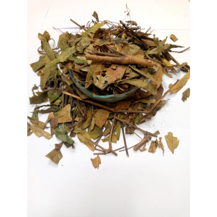 Jual Daun Gandarusa Kering / Kisi Kisi / Justicia gendarussa 1kg ...