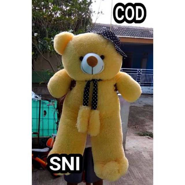 Jual Boneka Besar Beruang Teddy Bear Jumbo 1 Meter | Shopee Indonesia