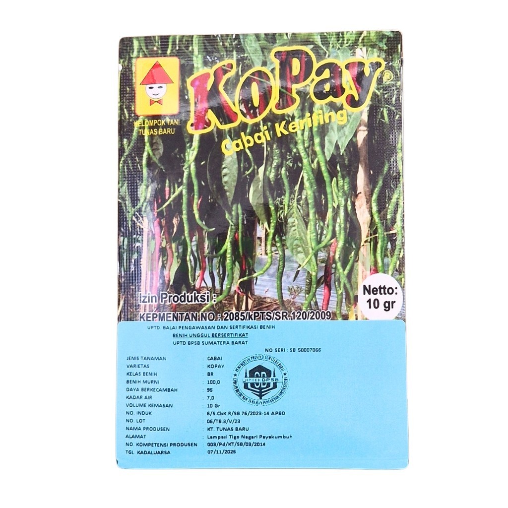 Jual Benih Cabe Unggul Kopay Lokal Sumatra Barat 10gr Original | Shopee ...