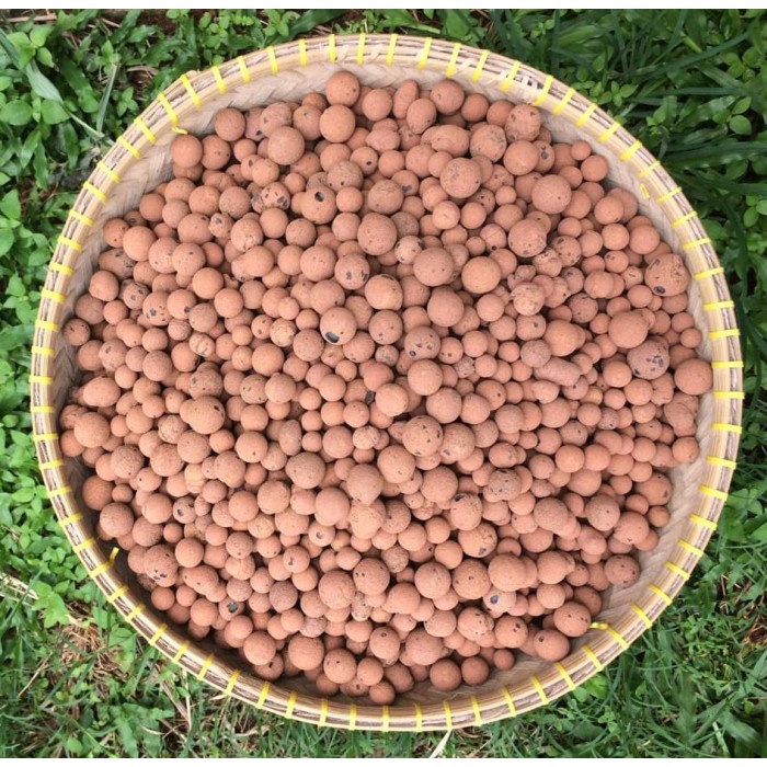 Jual agodacollection87_mall Hidroton / Hydroton / Leca Premium Impor ...