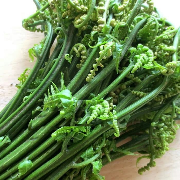 Jual !! PROMO Baru Pakis sayur segar 250 gram fresh COD | Shopee Indonesia