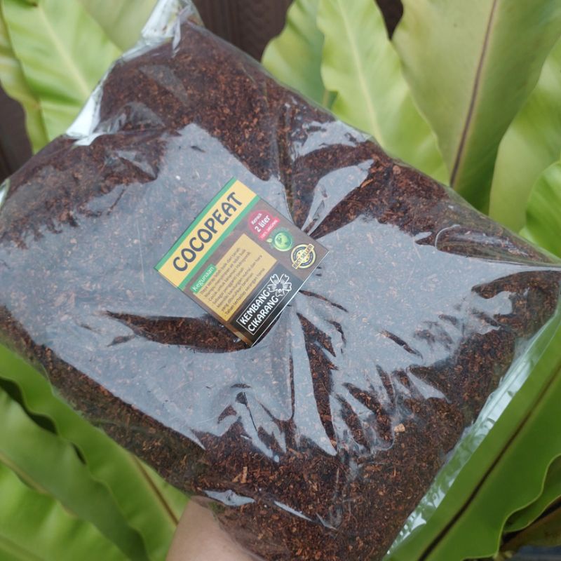 Jual (1 ktg) COCOPEAT MEDIA TANAM cocopit kokopit kemasan 2lt sekitar ...