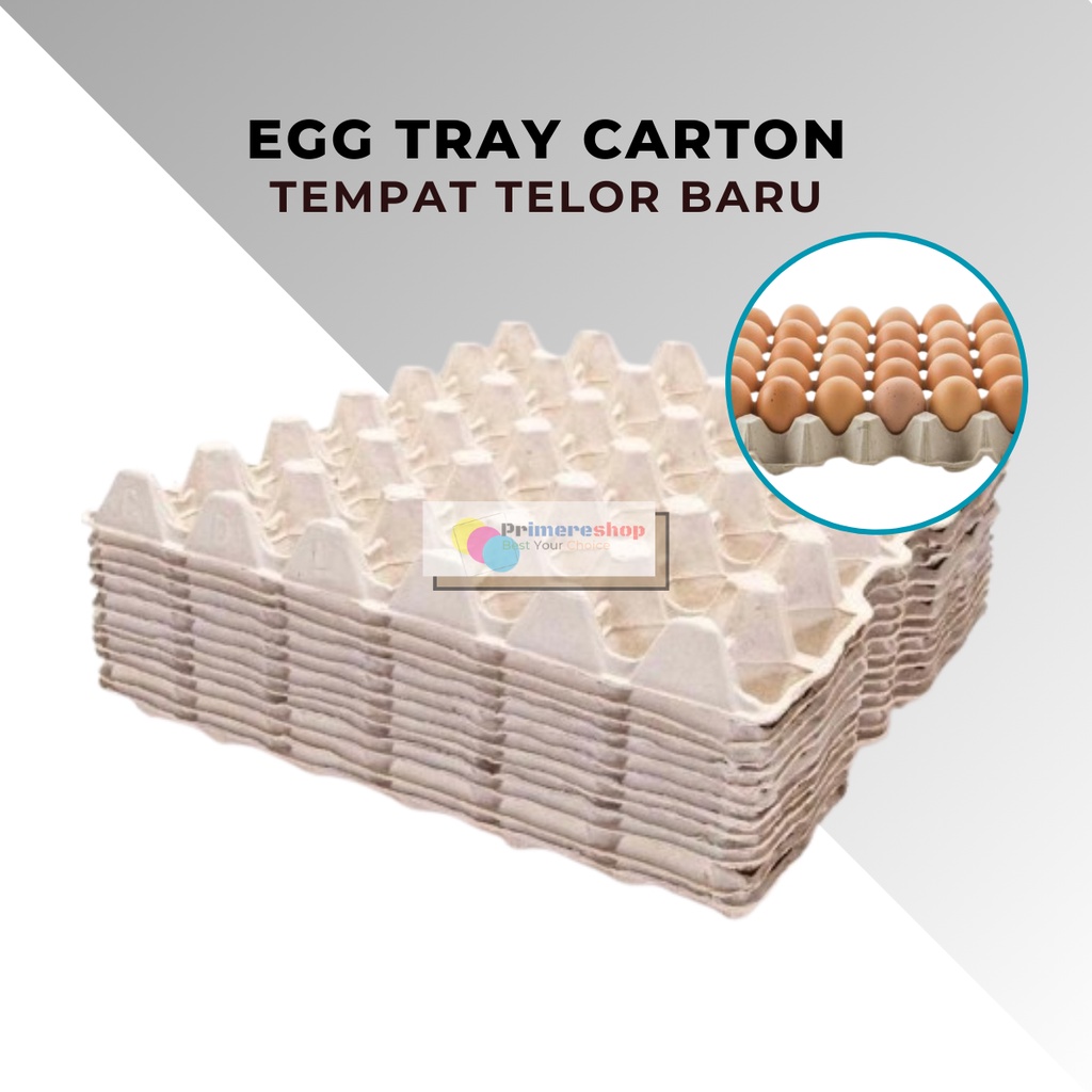 Jual Tempat Telur Telor Ayam Estetik Karton Murah | Shopee Indonesia
