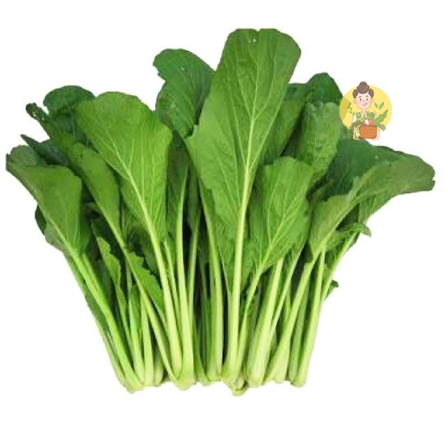 Jual Sawi Ijo / Sawi Manis 250gram - Sayur Segar Instan Malang | Shopee ...
