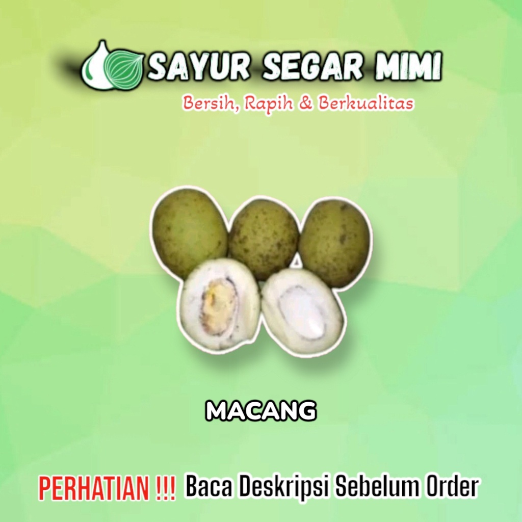 Jual Macang / Bacang 1Buah - Sᴀʏᴜʀ Sᴇɢᴀʀ ♏ɪᴍɪ | Shopee Indonesia