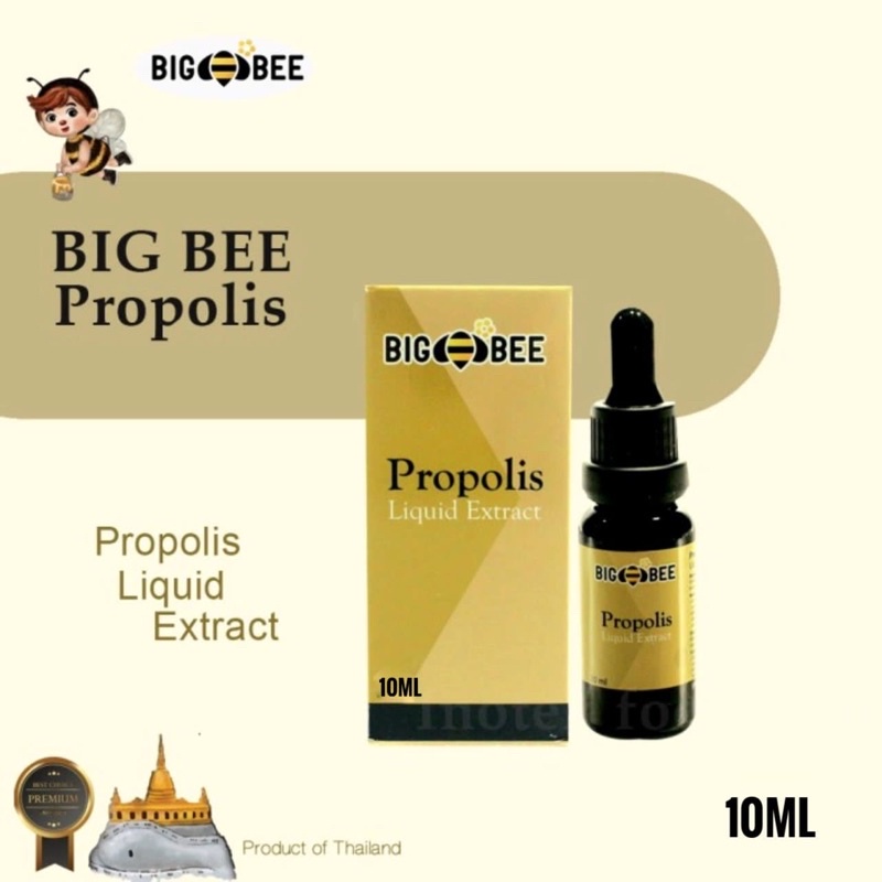 Jual propolis big bee 10 ml propolis bigbee original thailand | Shopee Indonesia