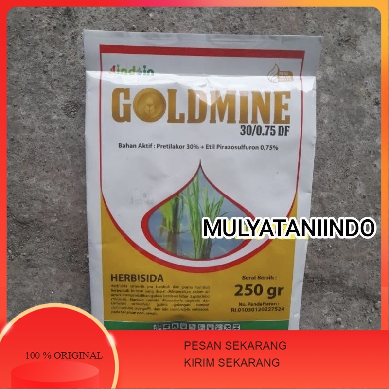 Jual Herbisida padi pra tumbuh GOLDMINE 250 Gram pembeku biji gulma ...