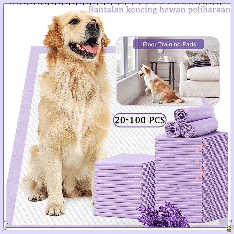 Jual 100PCS Pad Pipis Kucing Underpad Kucing Anjing Tatakan Kucing Alas ...