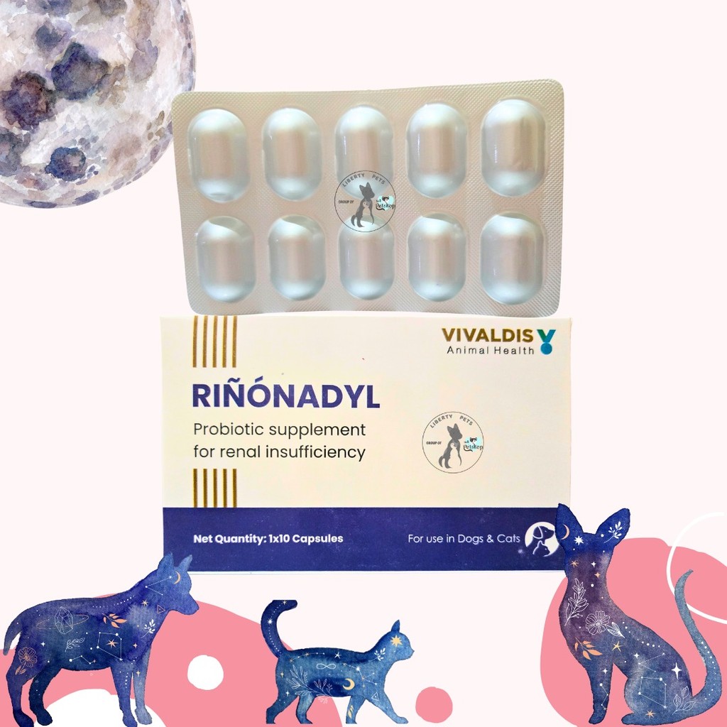 Jual Rinonadyl Vivaldis Supplement for Kidney (1 Blister = 10 Tablet ...