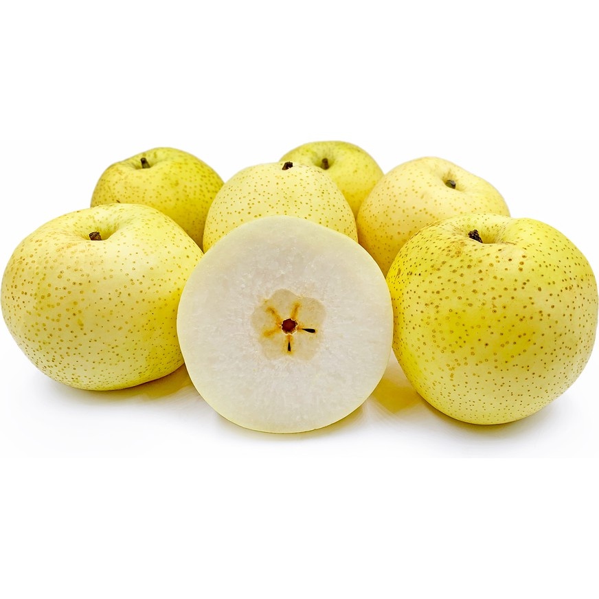 Jual Golden pear /kg | Shopee Indonesia