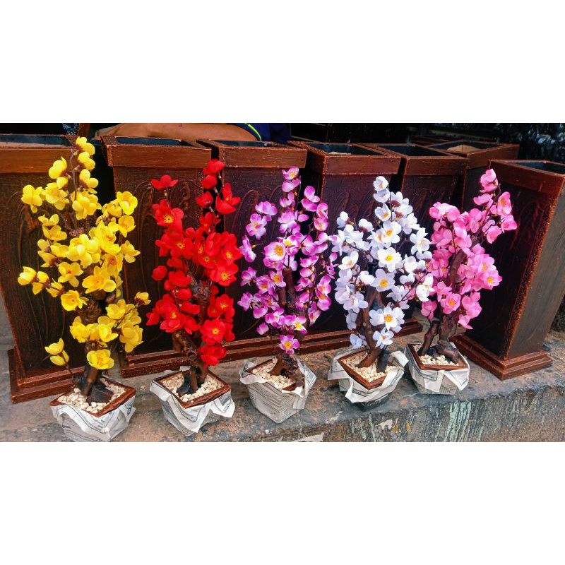 Jual TANAMAN PAJANGAN ORNAMEN+POT TINGGI 45CM //BONSAI POHON BUNGA HIAS ... Jual TANAMAN PAJANGAN ORNAMEN+POT TINGGI 45CM //BONSAI POHON BUNGA HIAS ...