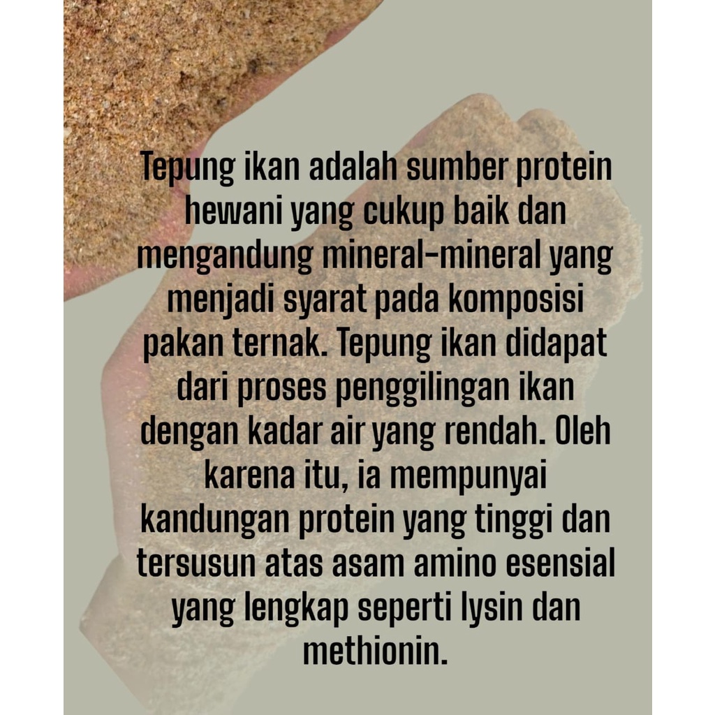 Jual 1 kg tepung ikan protein tinggi 50% campuran pakan ternak tepung ...