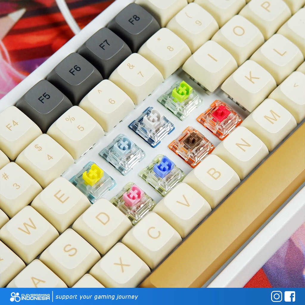 Jual TTC Switch for Mechanical Gaming Keyboard | Shopee Indonesia