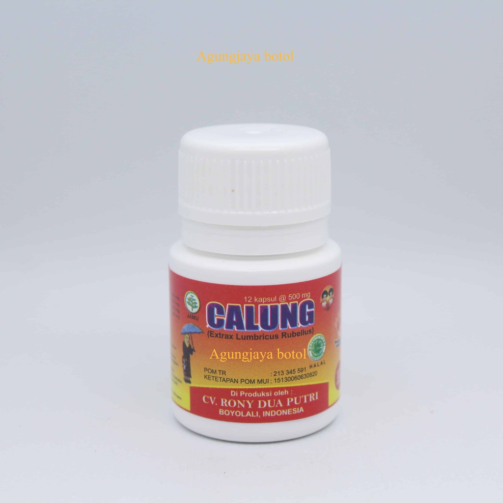 Jual Calung Isi 12 Kapsul / Kapsul Penurun Demam / Kapsul Ekstrak ...