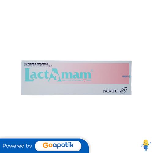 Jual Lactamam Box 60 Kaplet | Shopee Indonesia