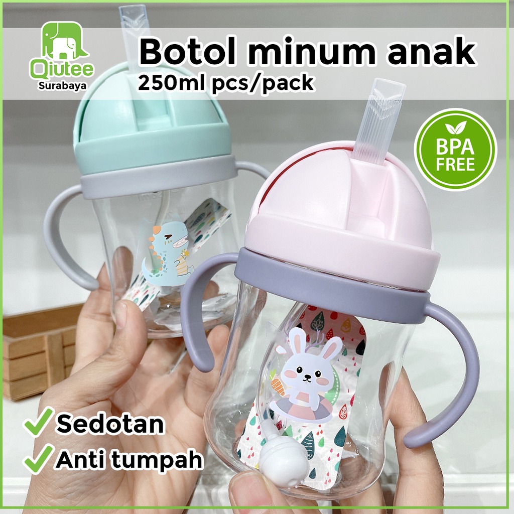 Jual [TERLARIS] Botol Minum Anak 250ML Sedotan Lucu Botol Minum Karakter Anti Tumpah Murah ...