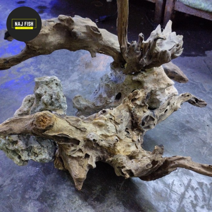 Jual Ornamen Batu Kayu Keren Untuk Hiasan Aquascape Aquarium Terrarium ...