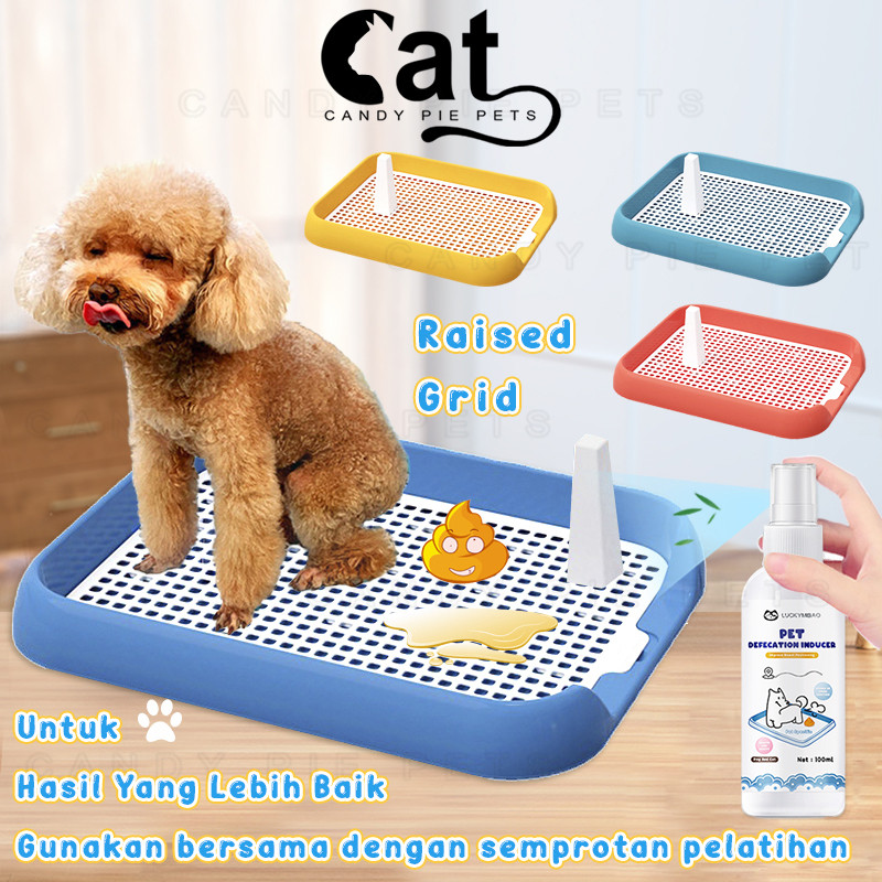 Jual Toilet Anjing Dog Toilet Tempat Pipis Anjing Toilet Hewan | Shopee ...