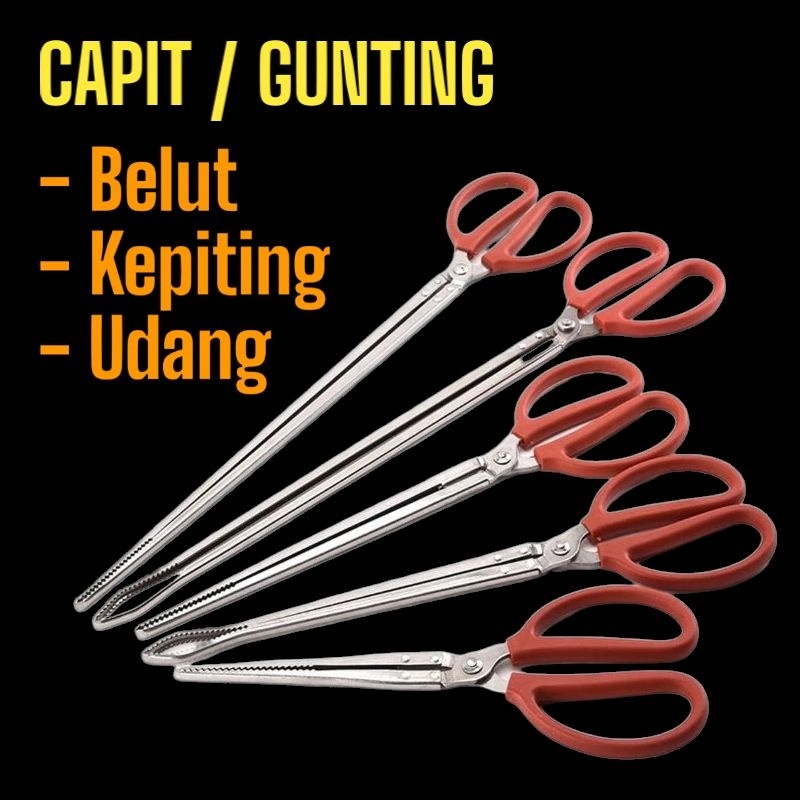 Jual CAPIT Gunting untuk Belut Udang Kepiting | Shopee Indonesia