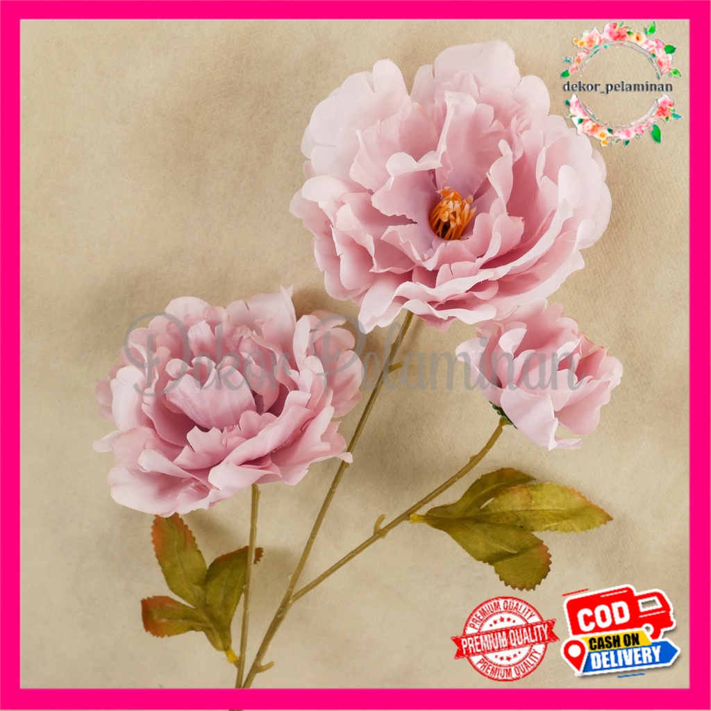 Jual Bunga Mutan Tangkai Panjang Cabang 3 Peony Jumbo Flowers Besar ...