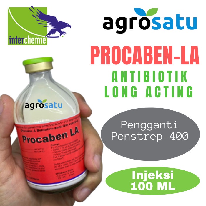 Jual Procaben LA Pengganti Penstrep 400 Obat Antibiotik Kucing Kambing ...