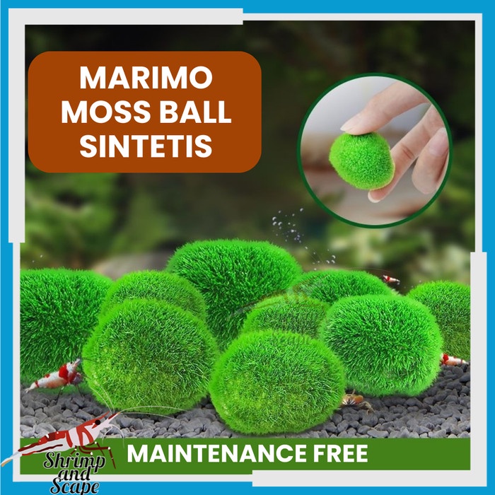 Jual Marimo Moss Ball Sintetis Tanaman Bola Moss Sintetis Hiasan Aquarium | Shopee Indonesia