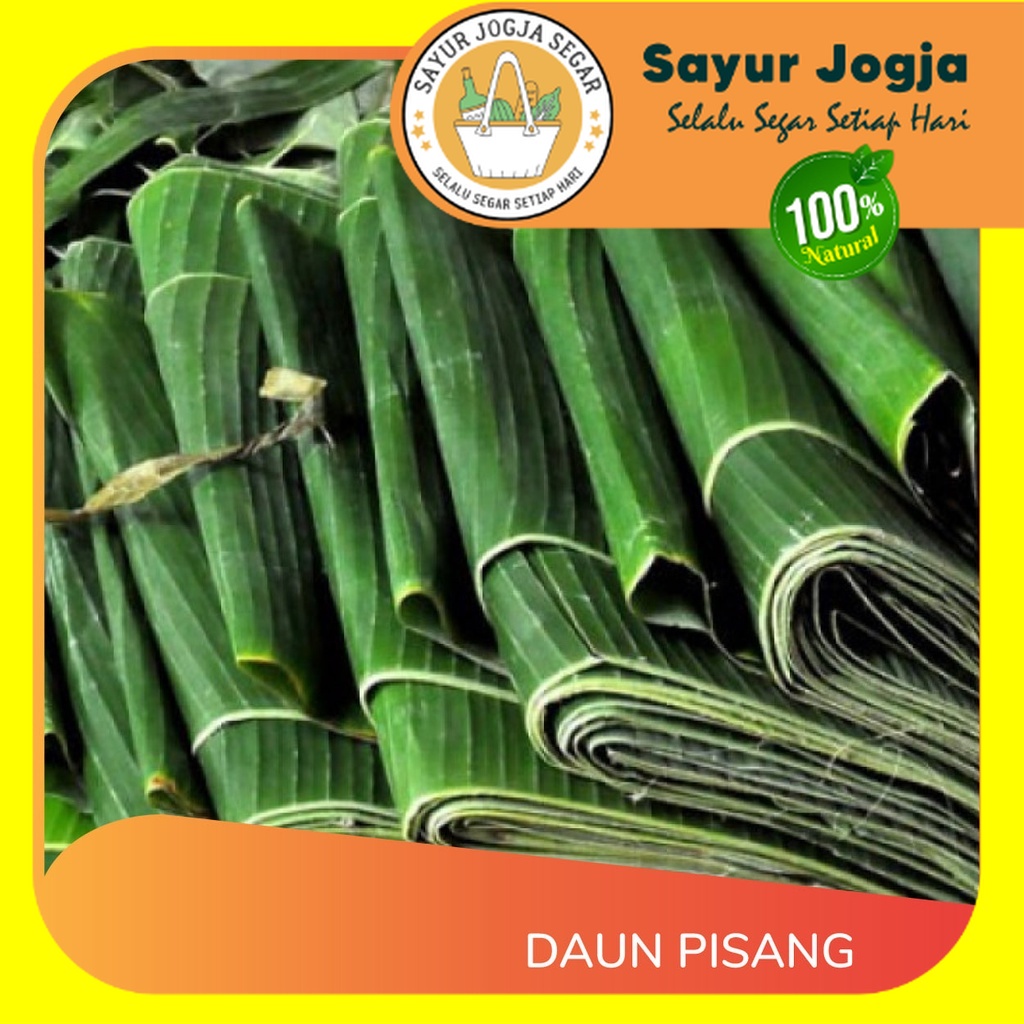 Jual Daun Pisang / pack | Shopee Indonesia