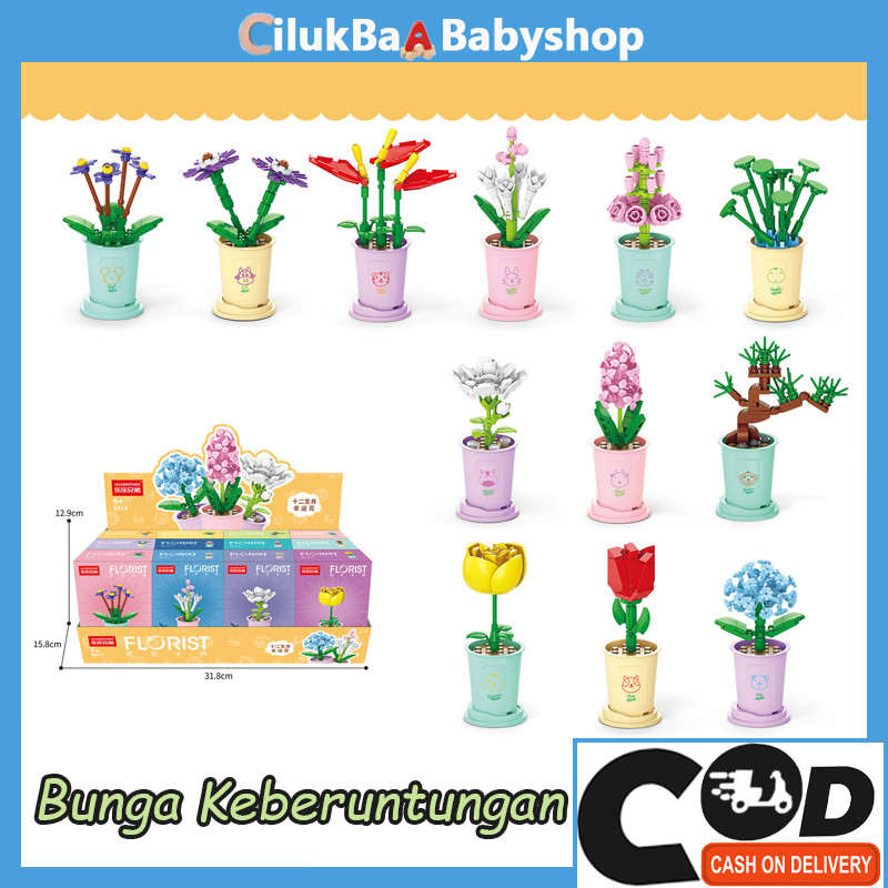 Jual Pot Bunga Tangan Sukulen Multifungsi Dengan Potongan Kecil Untuk ...