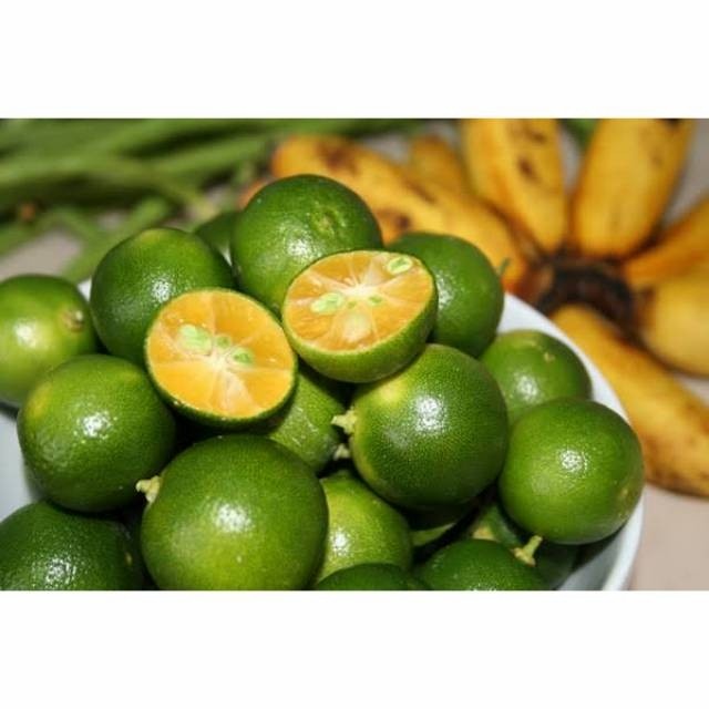 Jual JERUK KUNCI JERUK SONKIT LEMON CUI JERUK KASTURI JERUK KALAMANASI ...