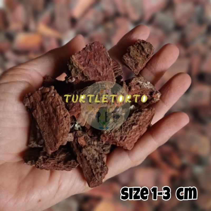 Jual [500 GR] Forest bark pine bark alas kandang substrate substart ...