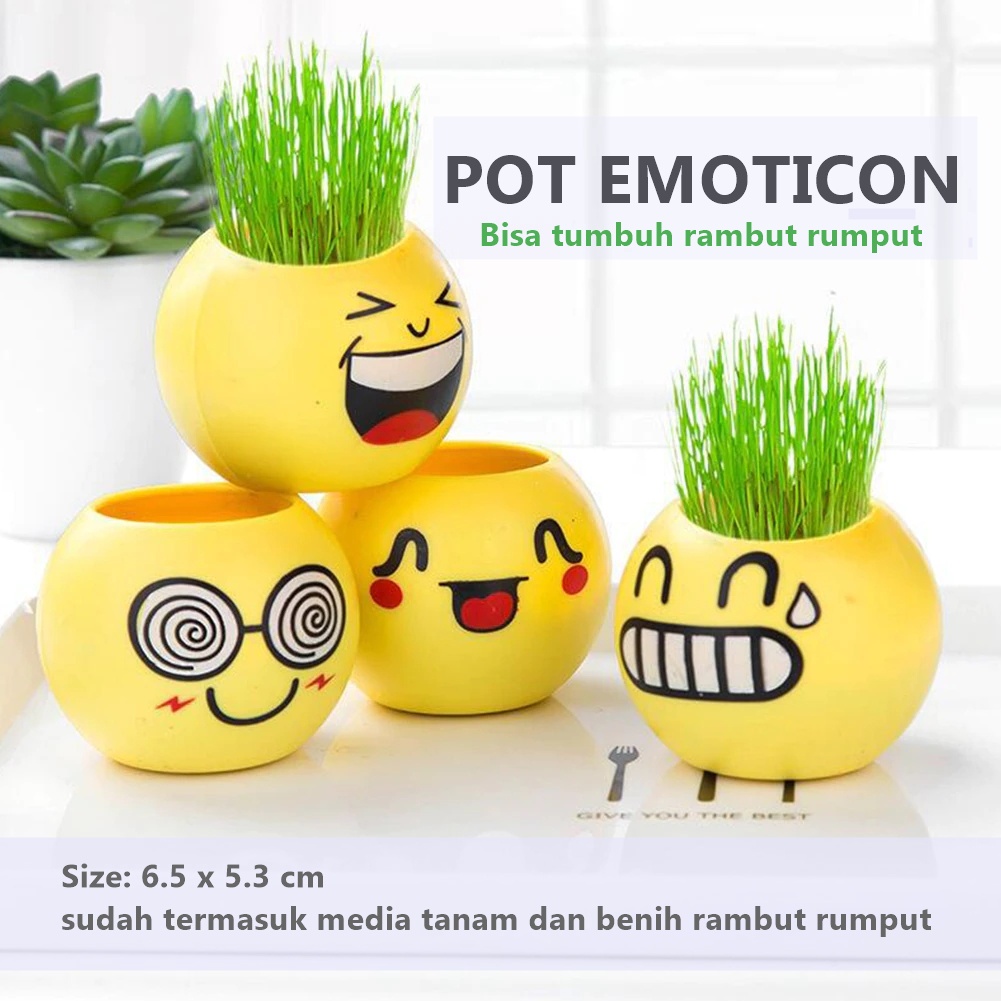 Jual Bu Guru Ria - Paket Berkebun Dengan Pot Emoticon Bisa Tumbuh ...